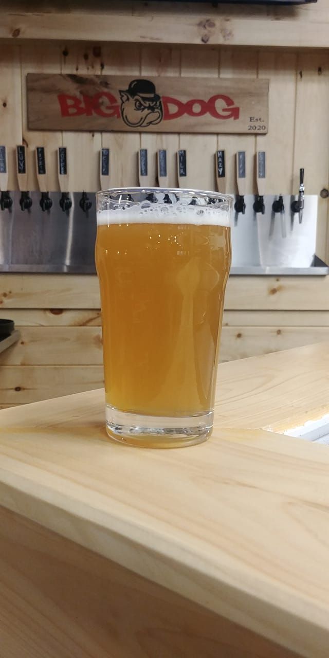 Brewery Pub | Big Dog Craft Brewing | Lancaster, PA