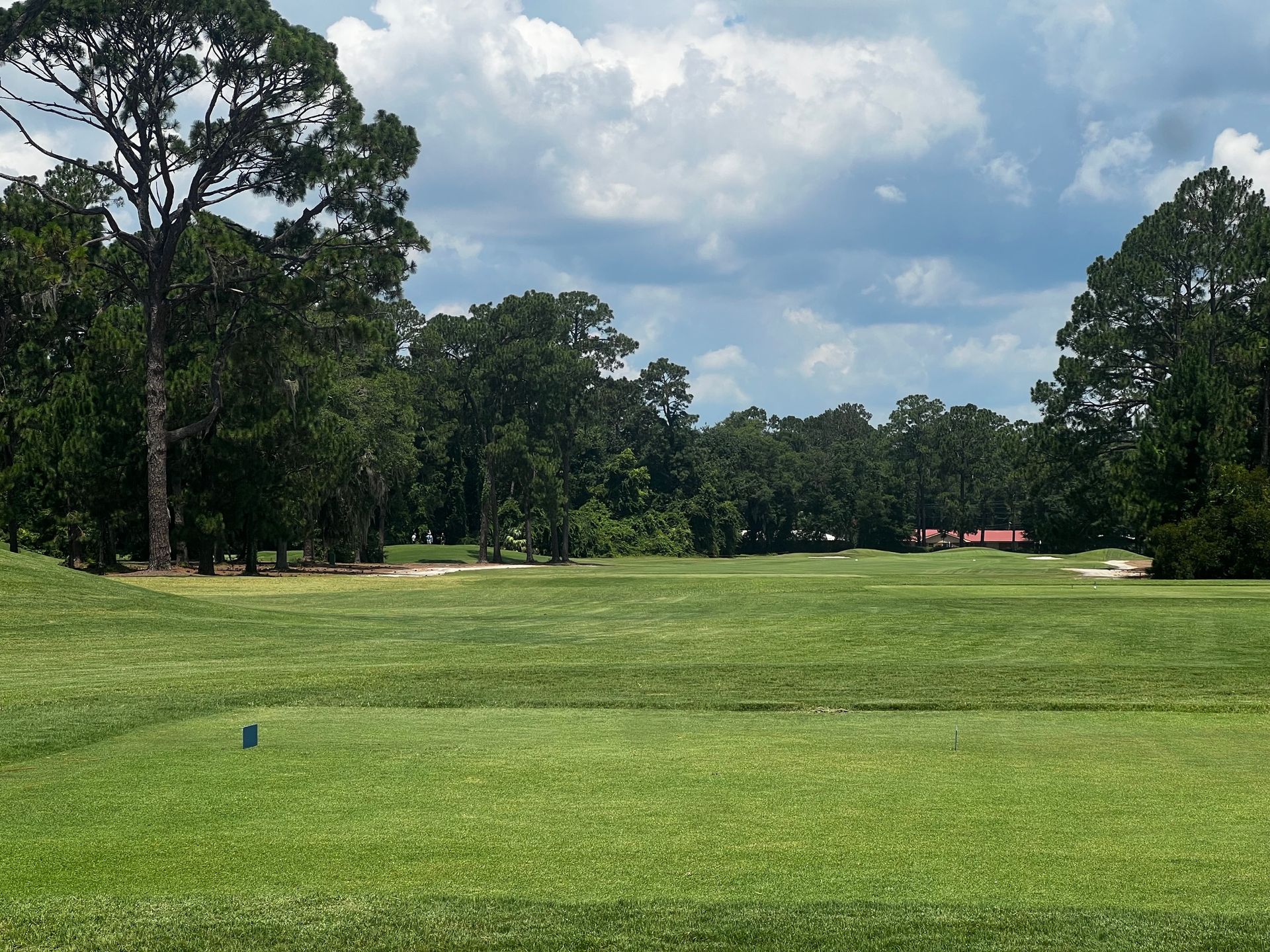 Golf Course | Don Ross-Designed Course | Brunswick, GA