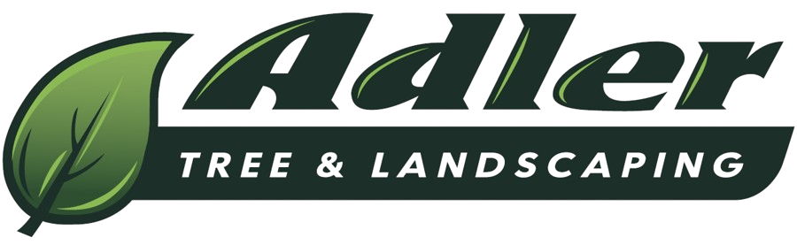 Adler Tree & Landscaping Service | Pittsburgh