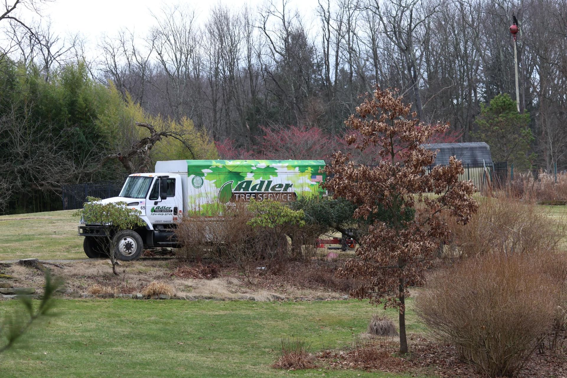 Tree Care Services | Pittsburgh, PA