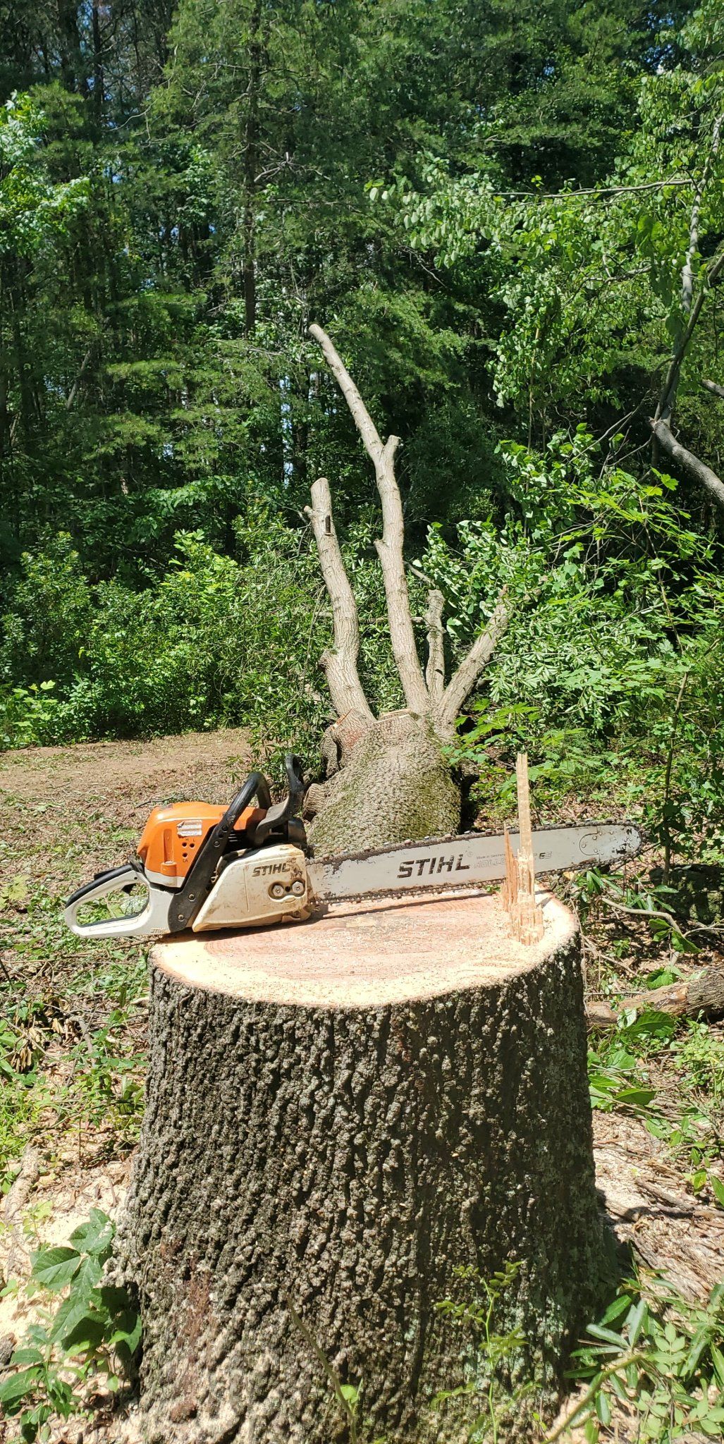 Project Gallery | Blackburn Land & Limb