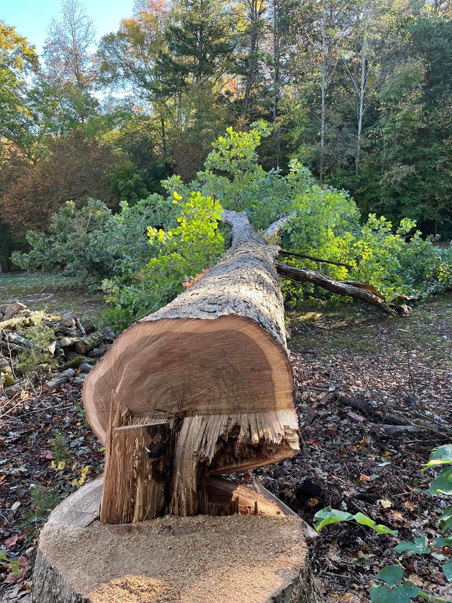 Project Gallery | Blackburn Land & Limb