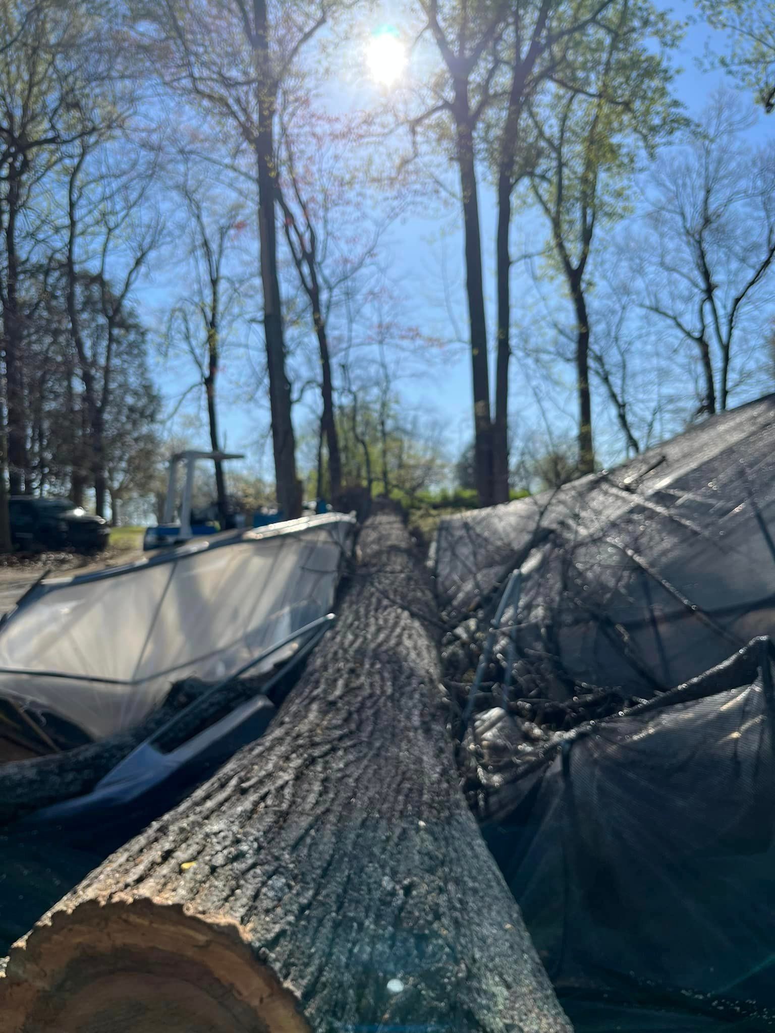 Project Gallery | Blackburn Land & Limb