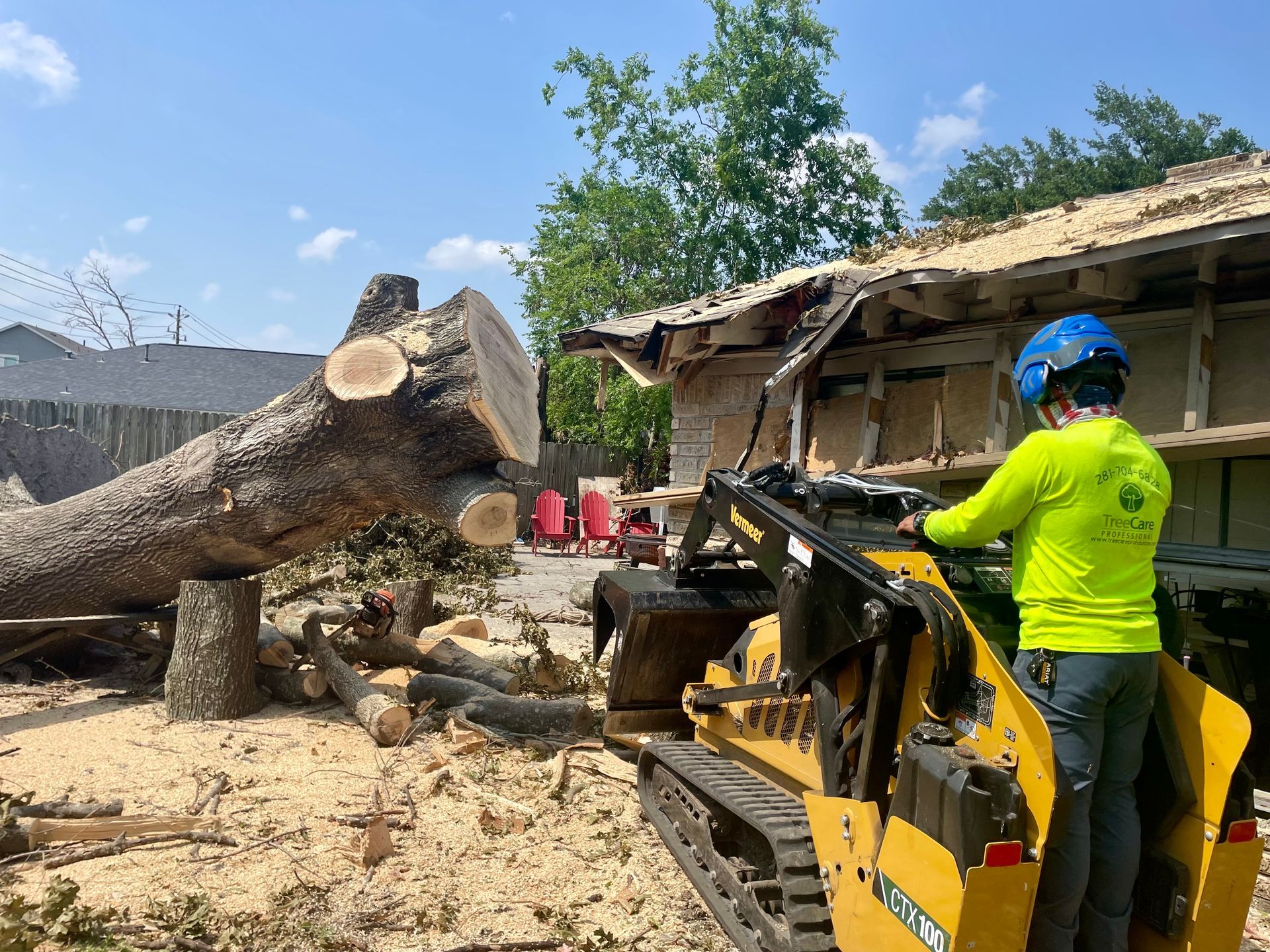 Tree Removal Contractors Houston TX | Tree Care Professional