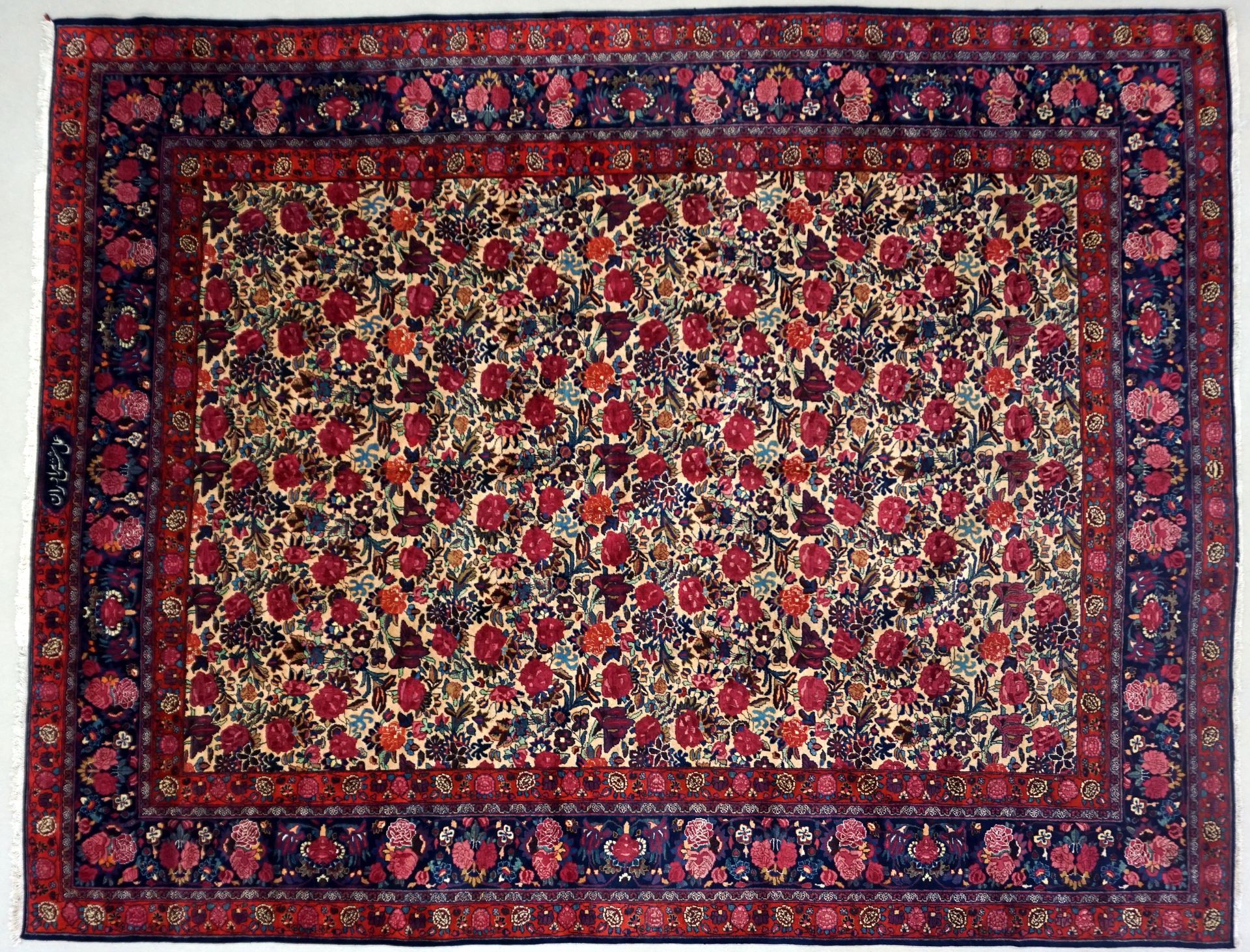 Allover Rugs | Kurosh Rugs | Twin Cities Area