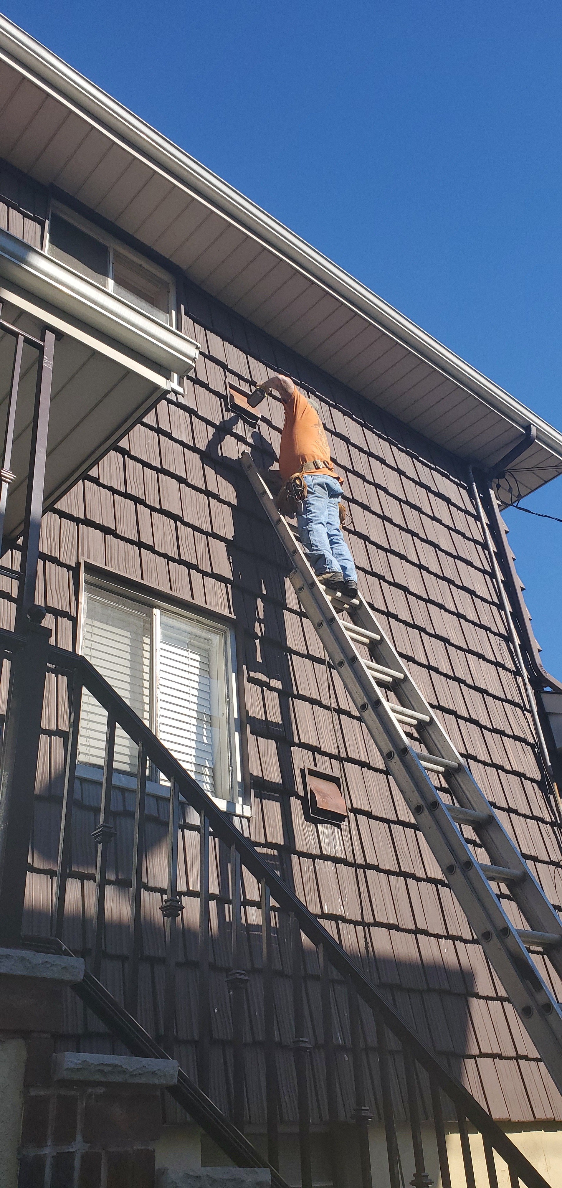 Exterminators Livingston, NJ | Morristown, NJ