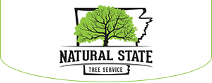 Tree Removal | Natural State Tree Service Inc | Ward, AR