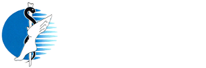 Reviews | Dr. David Potash Podiatric Medicine & Surgery