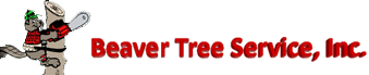 Reviews | Beaver Tree Service, Inc.