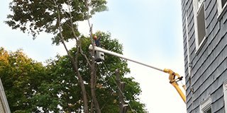 Bucket Truck Tree Removal | Pruning | Gardner, MA