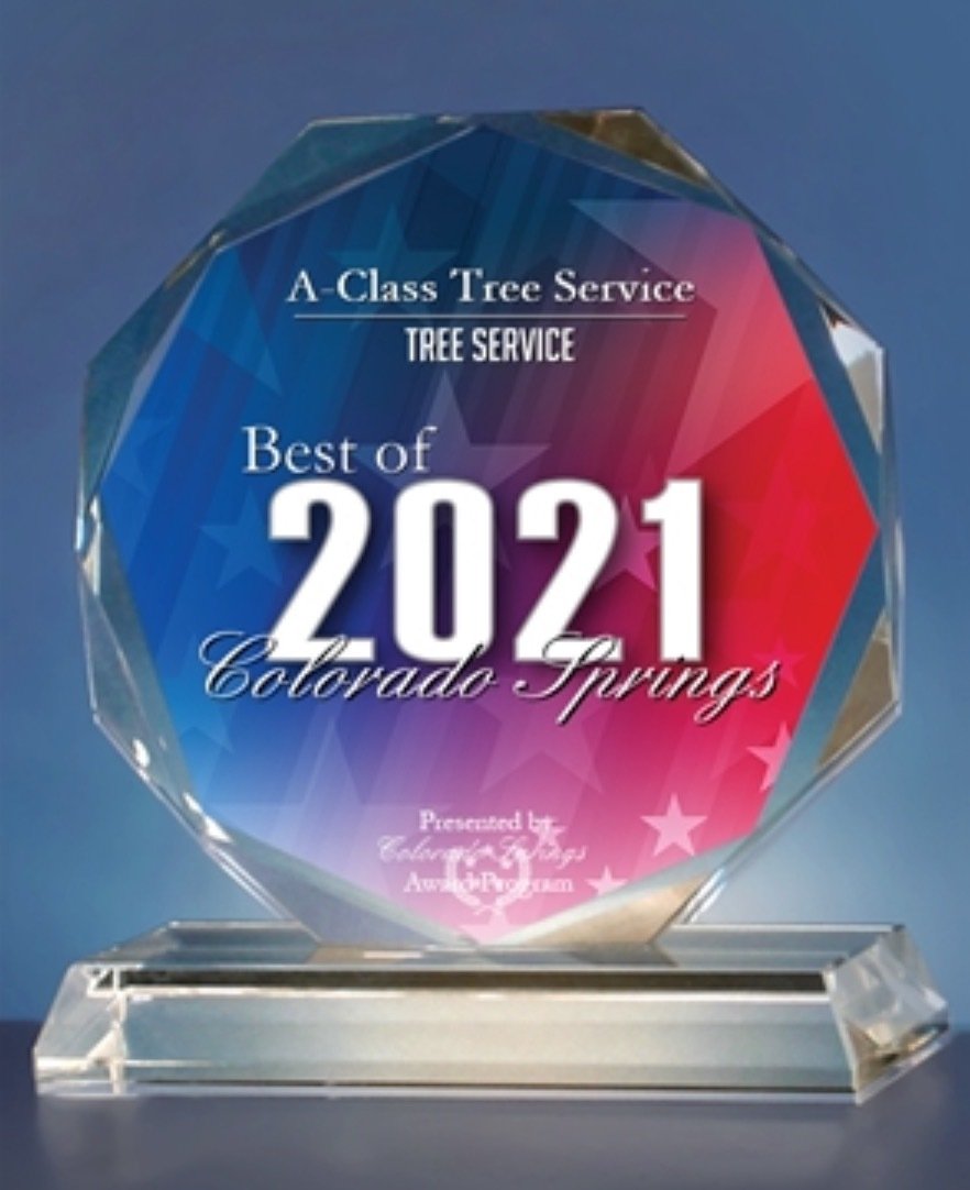 A-Class Tree Service | Tree Removal | Colorado Springs, CO