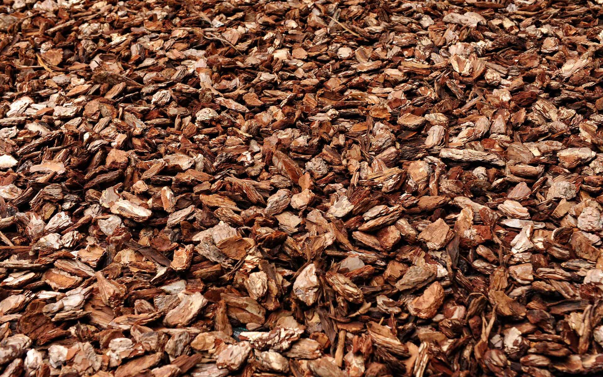Wood Fiber and Hog Fuel Products | Monmouth, OR