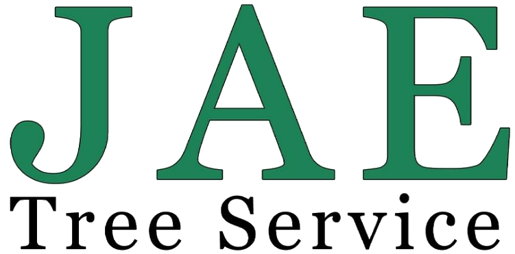 Tree Removal | JAE Tree Service | Andover, MA. Lynnfield MA