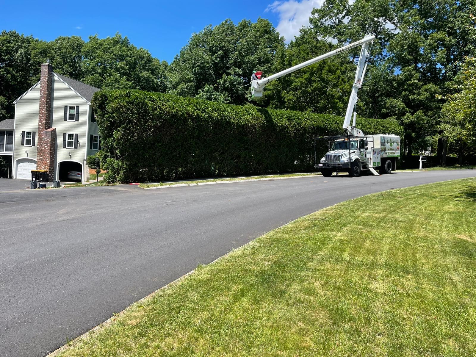 Tree Removal | JAE Tree Service | Andover, MA. Lynnfield MA