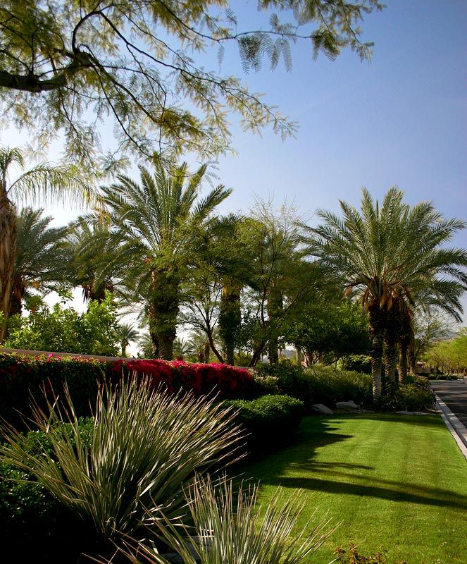 Gallery | Sunshine Landscape | Coachella Valley, CA