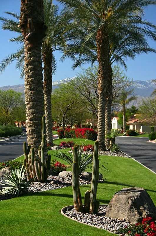 Gallery | Sunshine Landscape | Coachella Valley, CA