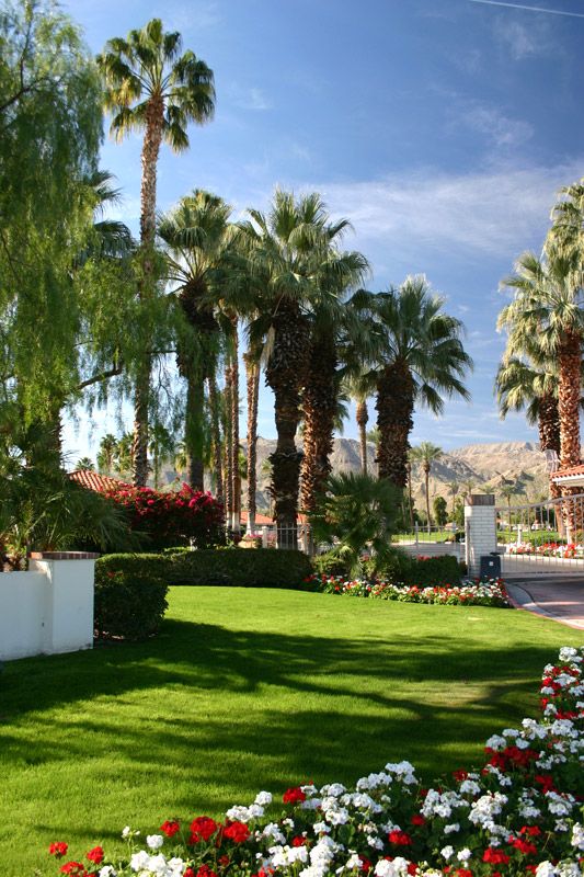 Gallery | Sunshine Landscape | Coachella Valley, CA