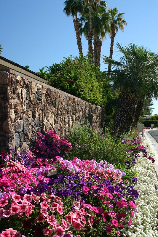 Gallery | Sunshine Landscape | Coachella Valley, CA