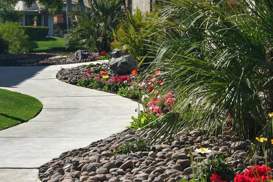 Gallery | Sunshine Landscape | Coachella Valley, CA