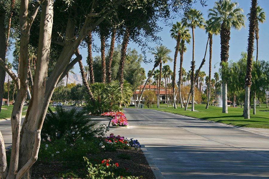 Gallery | Sunshine Landscape | Coachella Valley, CA