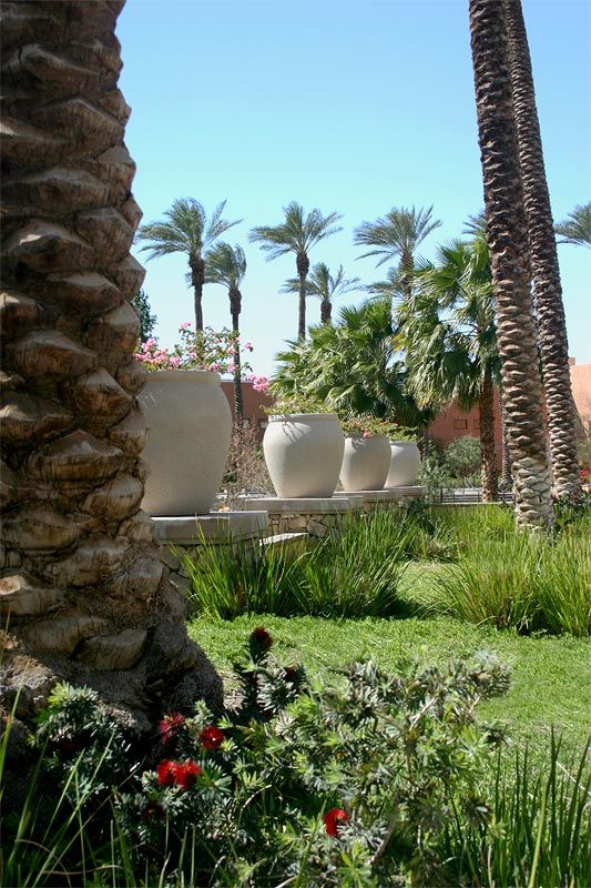 Gallery | Sunshine Landscape | Coachella Valley, CA