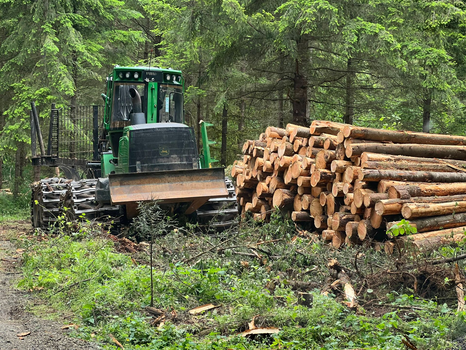 Tree Logging | Tree Management Plus, Inc. | Toledo, WA
