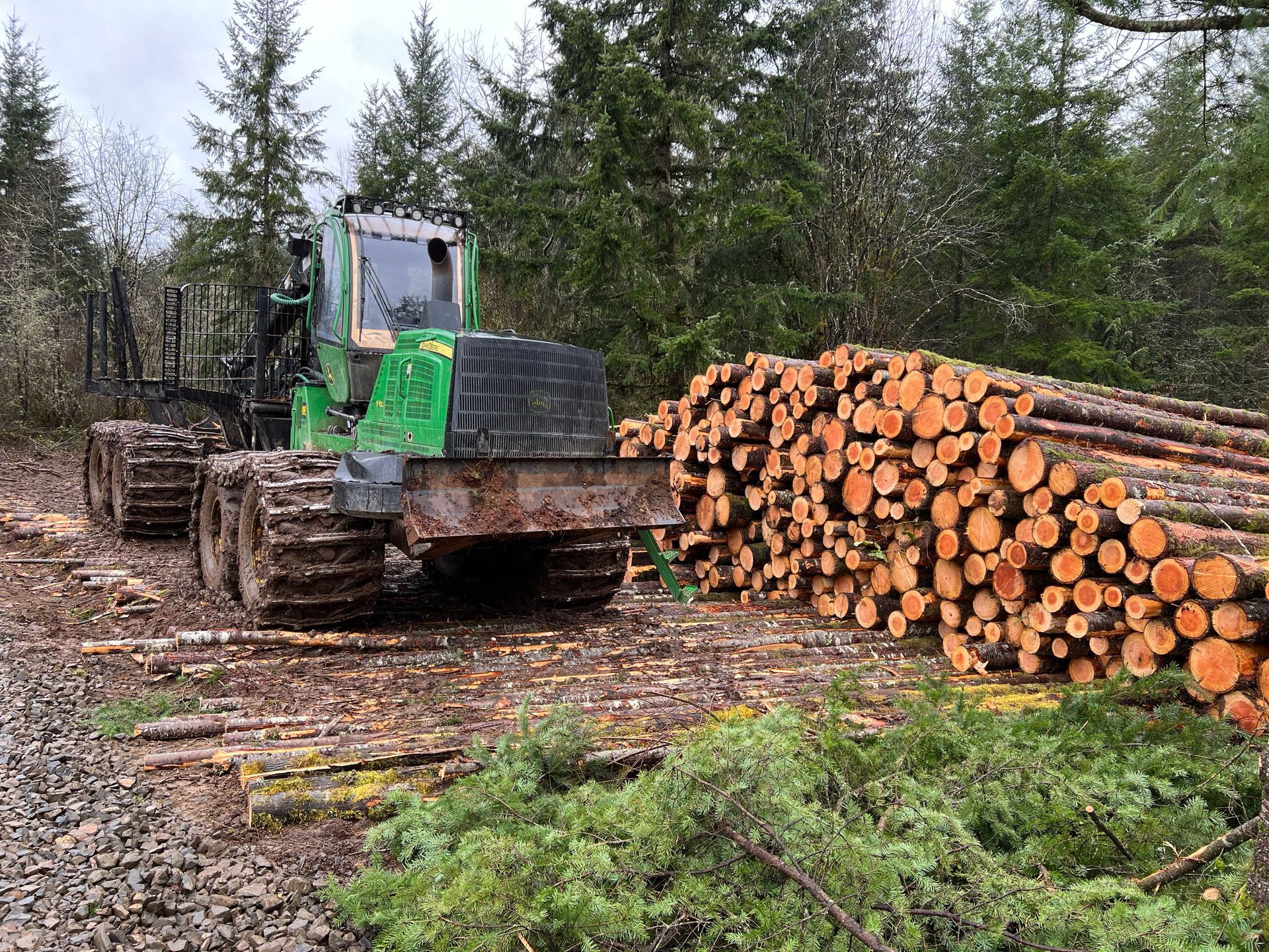 Logging Services and Forest Logging | Toledo, WA