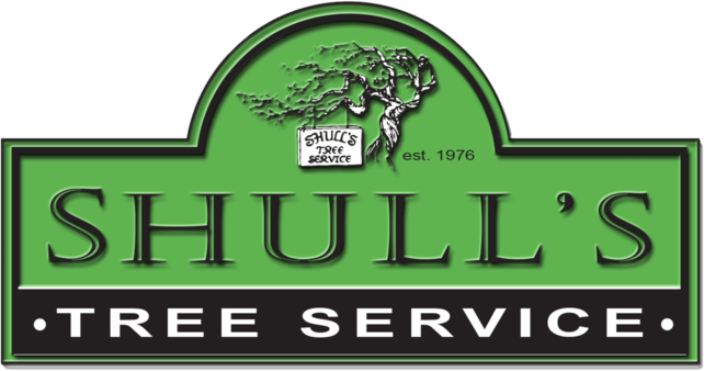 Tree Service Company Harrisburg, PA | Middletown, PA