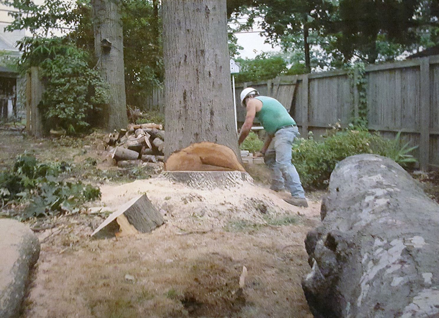 Tree Service Company Harrisburg, PA | Middletown, PA