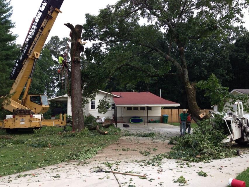Tree Removal Service Lilburn, GA | Ryan Tree Service, Inc.