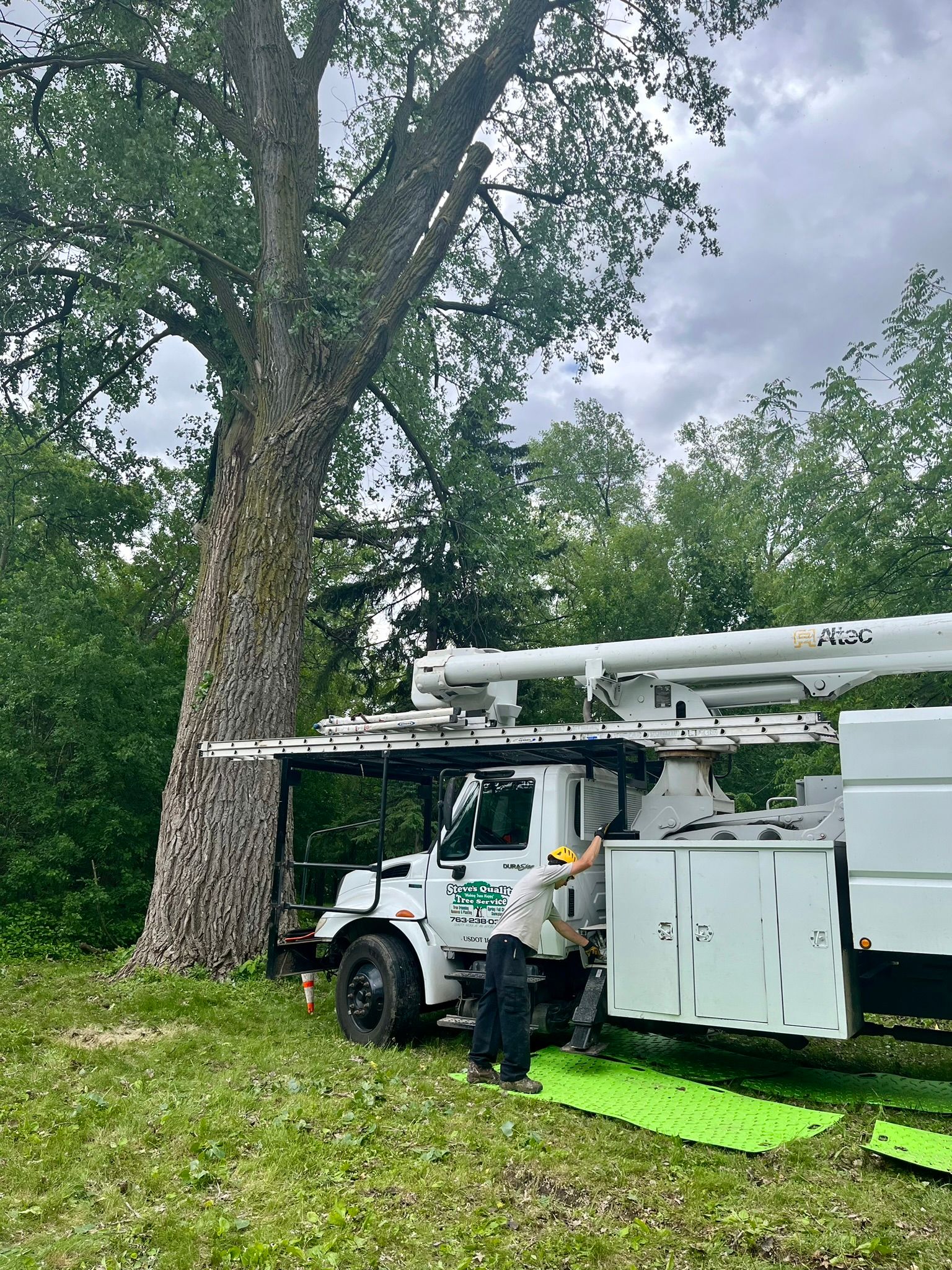 Steve's Quality Tree Service Gallery | Twin Cities