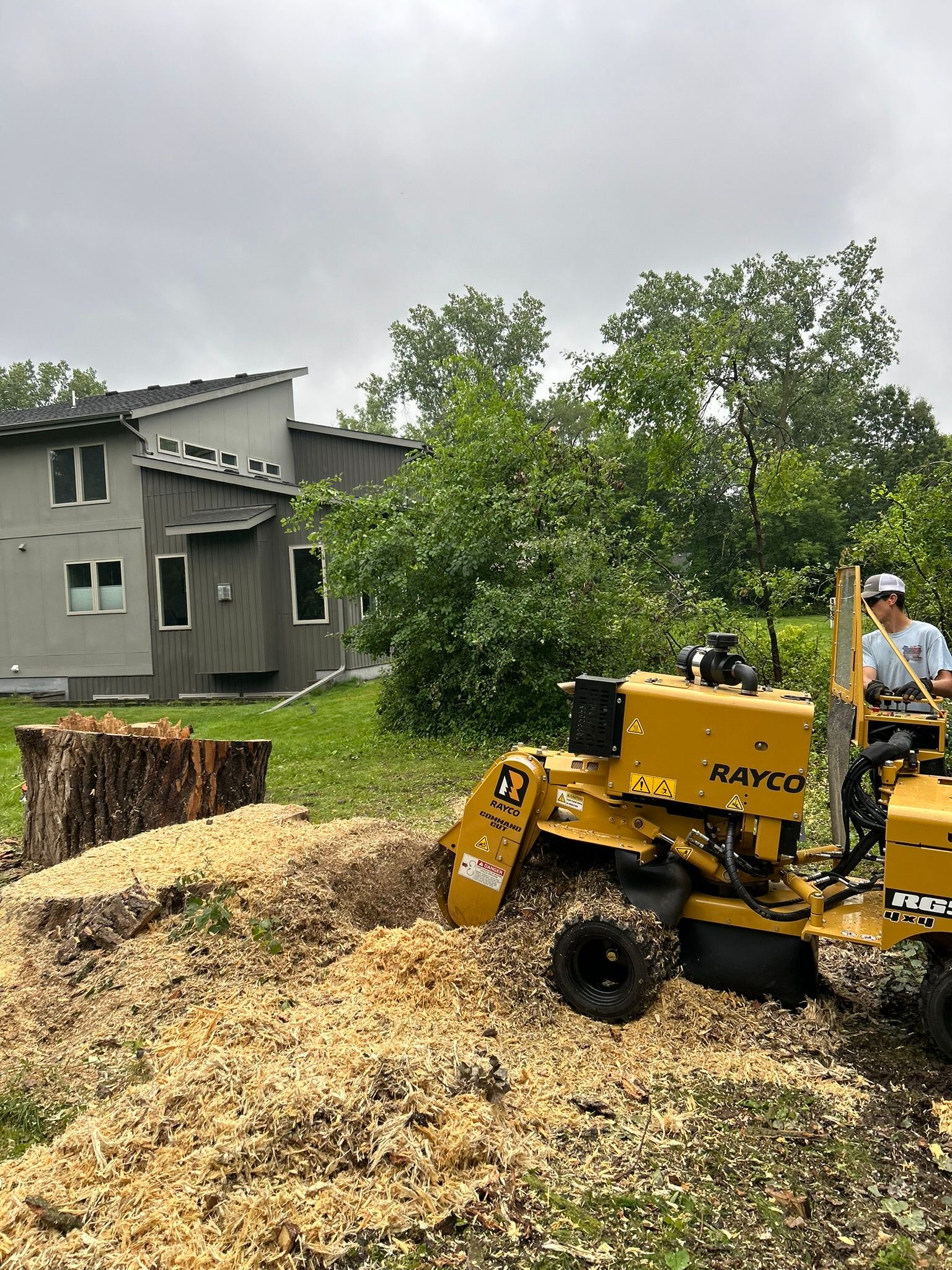 Steve's Quality Tree Service Gallery | Twin Cities