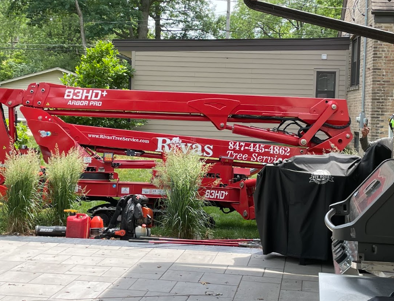Tree Care Services | Rivas Tree Service | Gurnee, IL