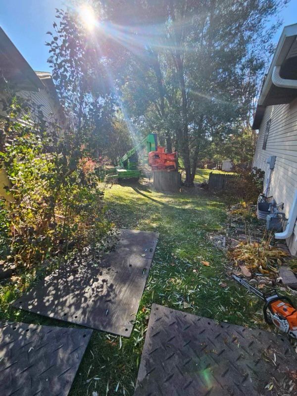 Photo Gallery | Tree-B-Gone of Green Bay