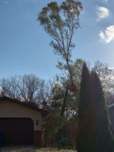 Photo Gallery | Tree-B-Gone of Green Bay