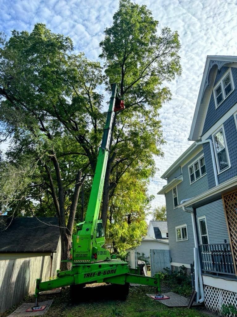 Tree Removal Green Bay, WI | Tree-B-Gone of Green Bay