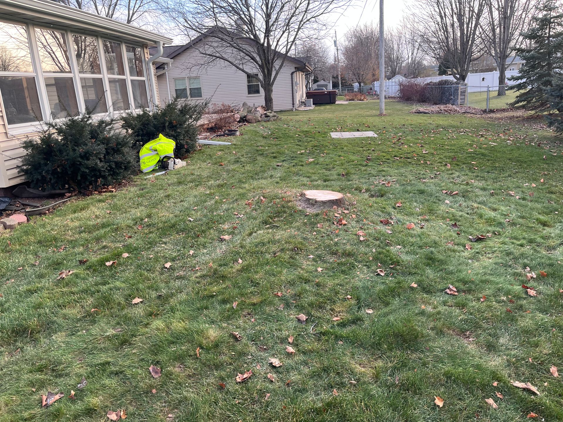 Photo Gallery | Tree-B-Gone of Green Bay