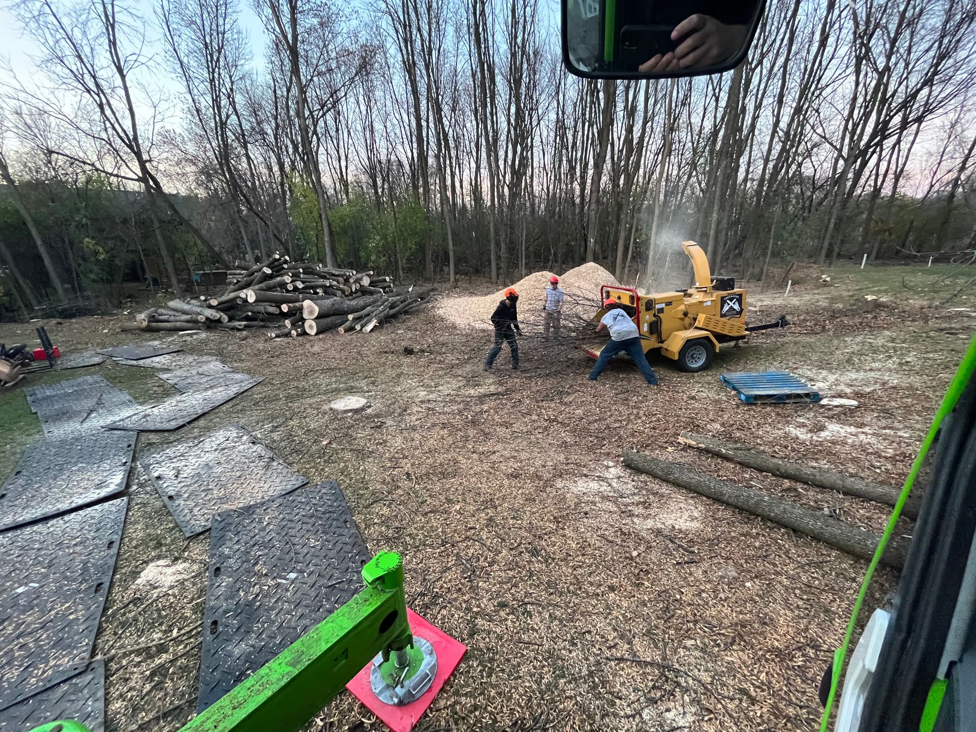 Photo Gallery | Tree-B-Gone of Green Bay