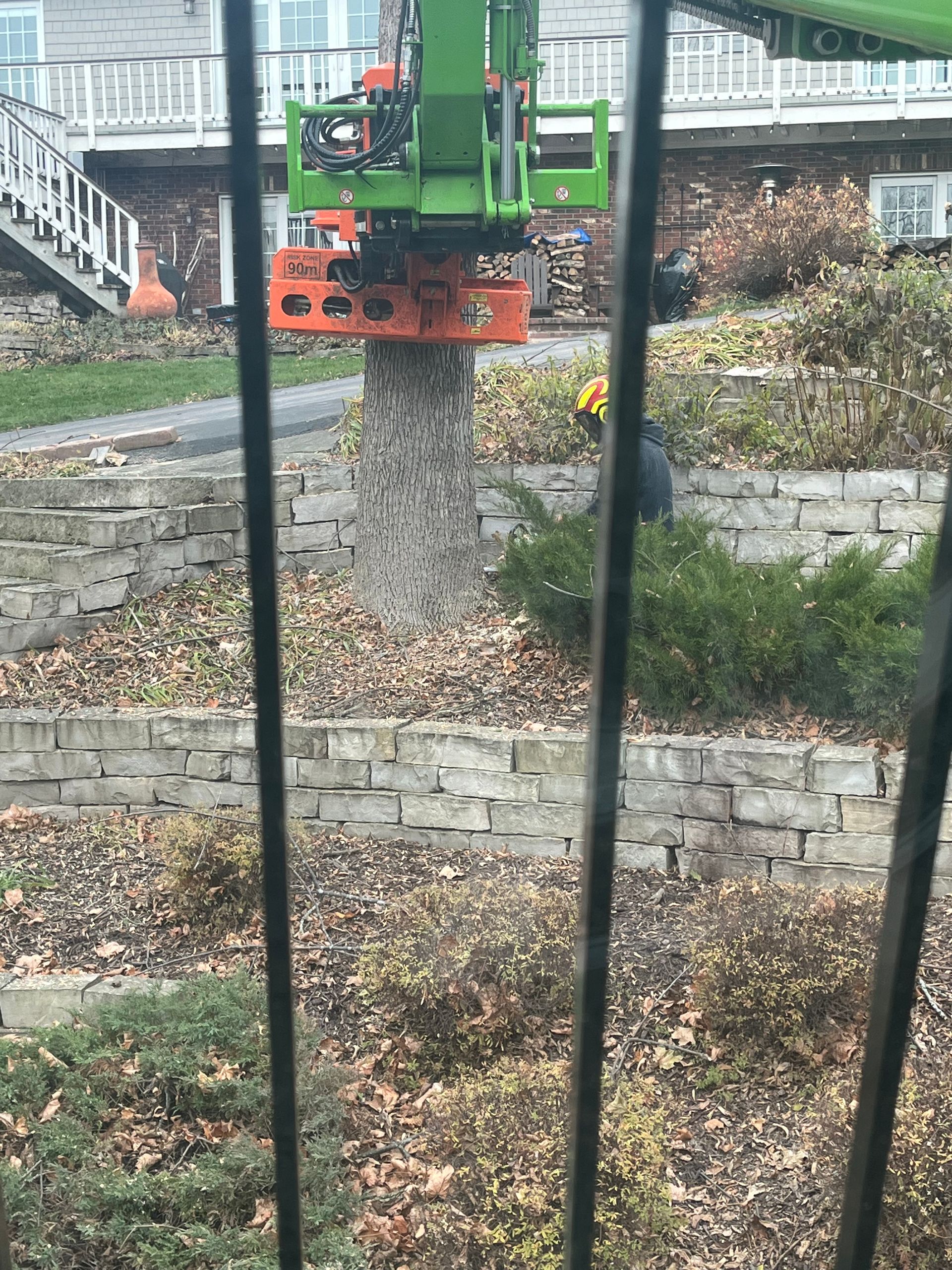 Photo Gallery | Tree-B-Gone of Green Bay