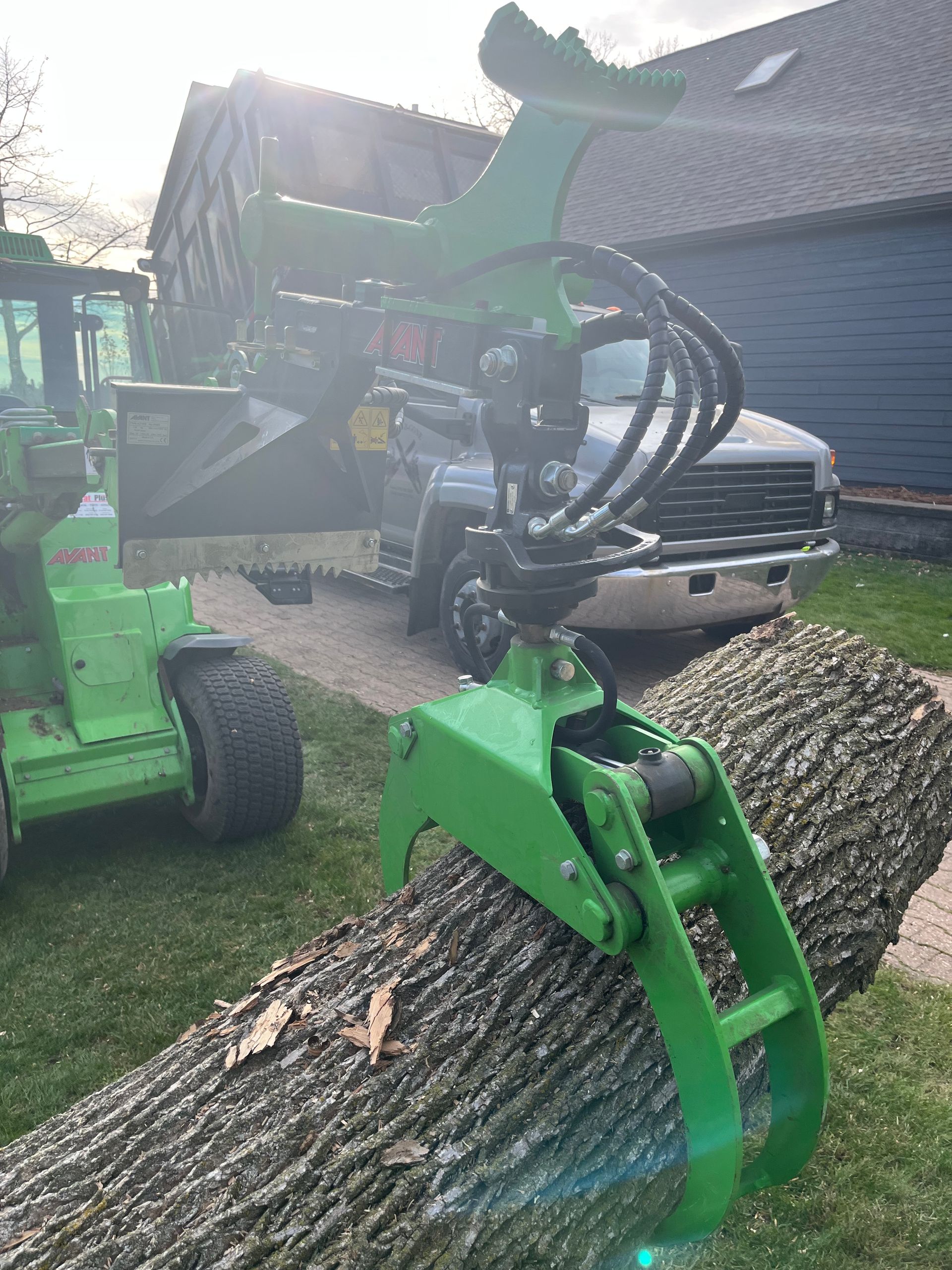Photo Gallery | Tree-B-Gone of Green Bay