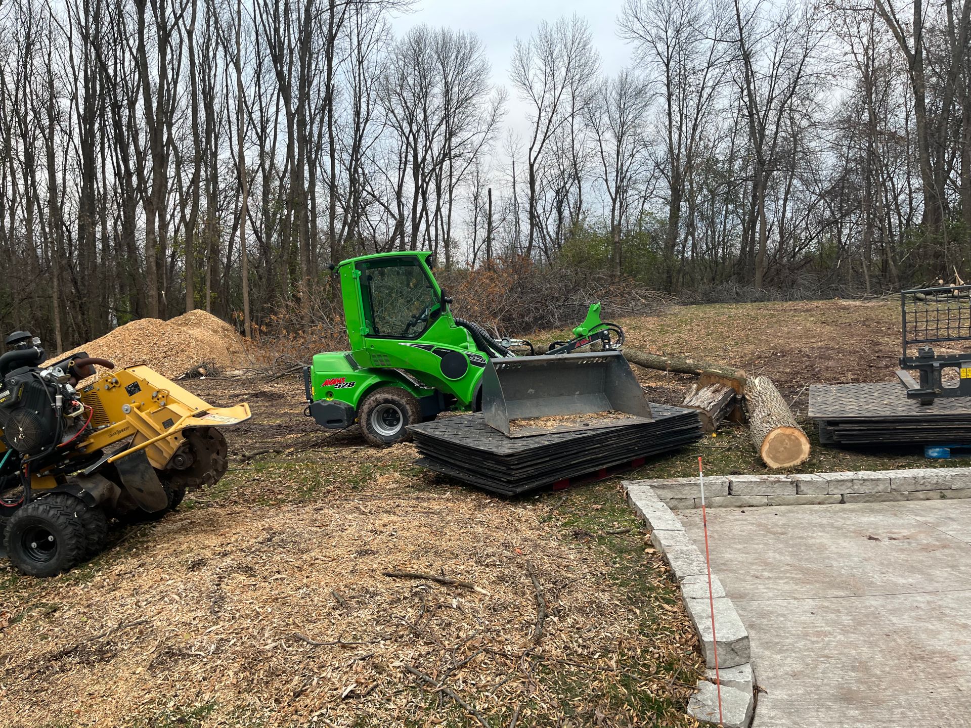 Photo Gallery | Tree-B-Gone of Green Bay