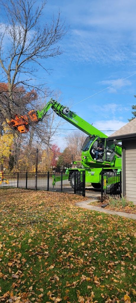 Photo Gallery | Tree-B-Gone of Green Bay