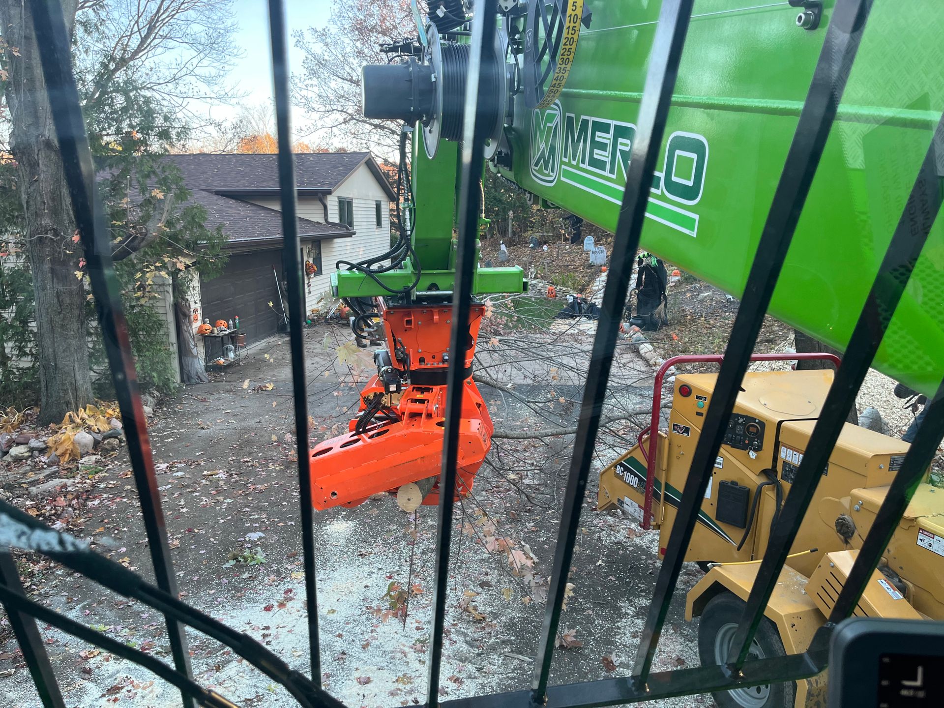 Photo Gallery | Tree-B-Gone of Green Bay