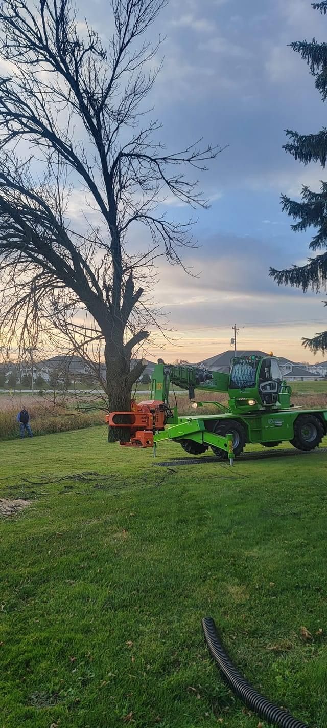 Photo Gallery | Tree-B-Gone of Green Bay