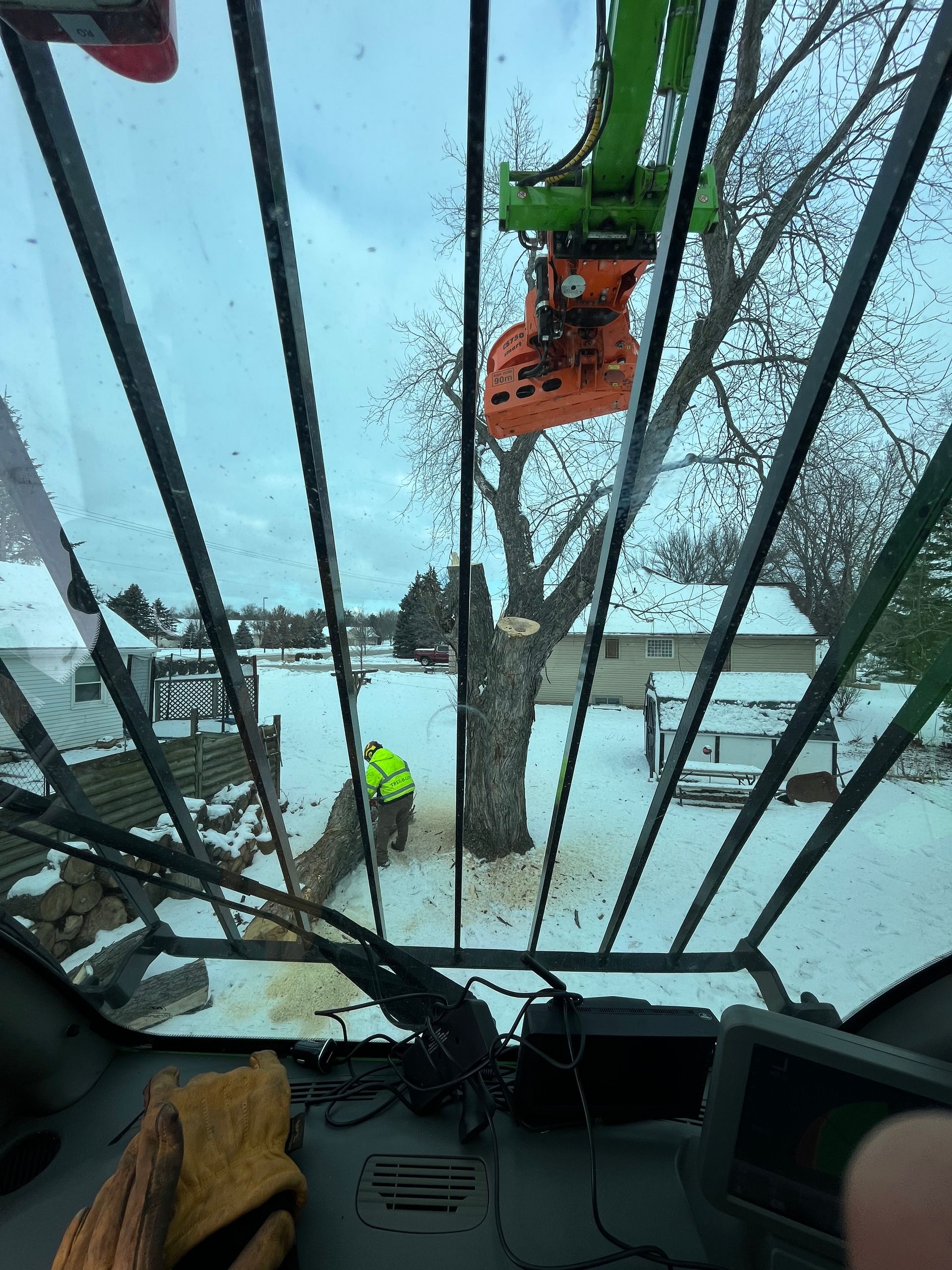 Photo Gallery | Tree-B-Gone of Green Bay