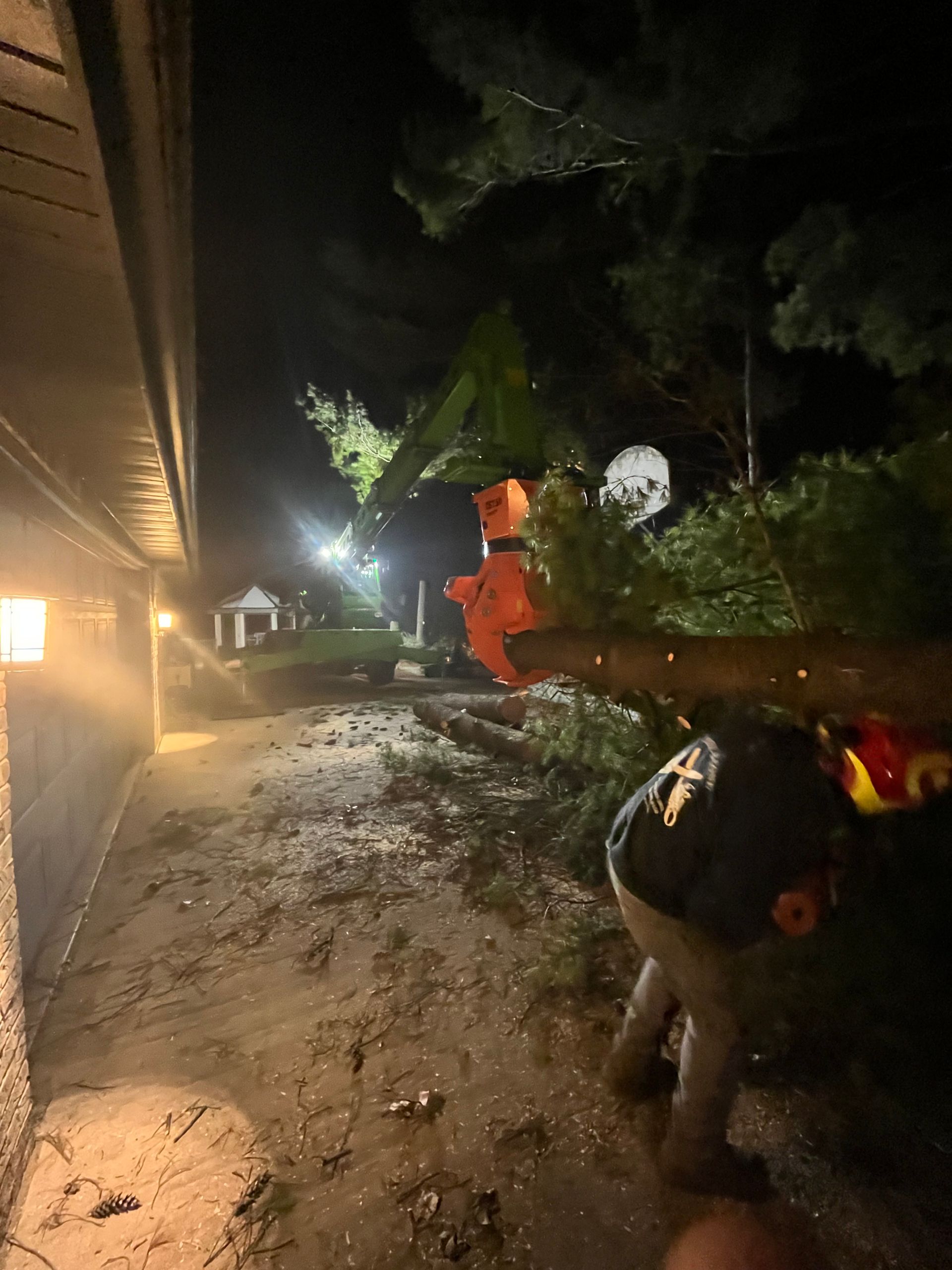 Photo Gallery | Tree-B-Gone of Green Bay