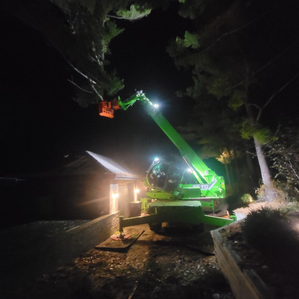 Photo Gallery | Tree-B-Gone of Green Bay