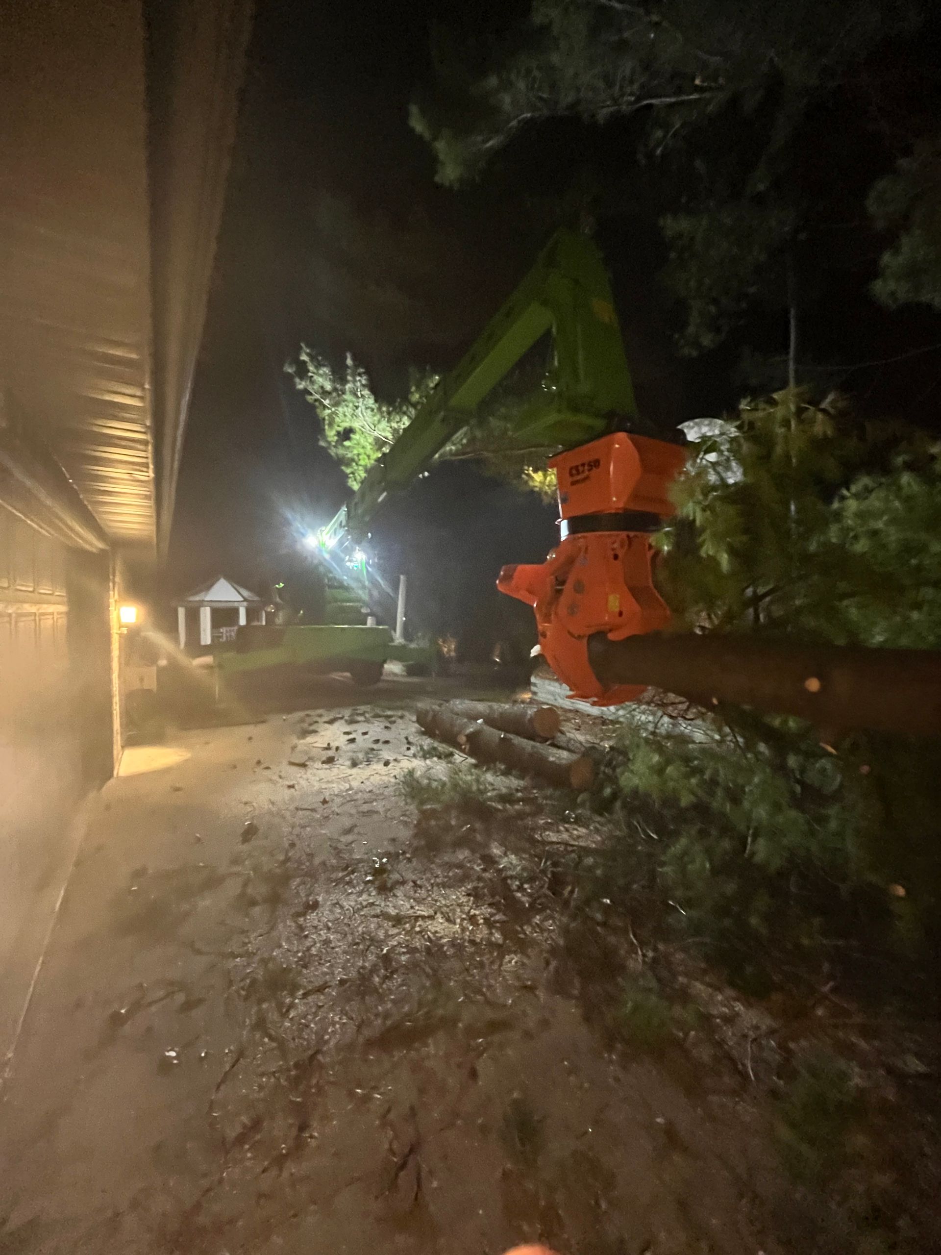 Photo Gallery | Tree-B-Gone of Green Bay