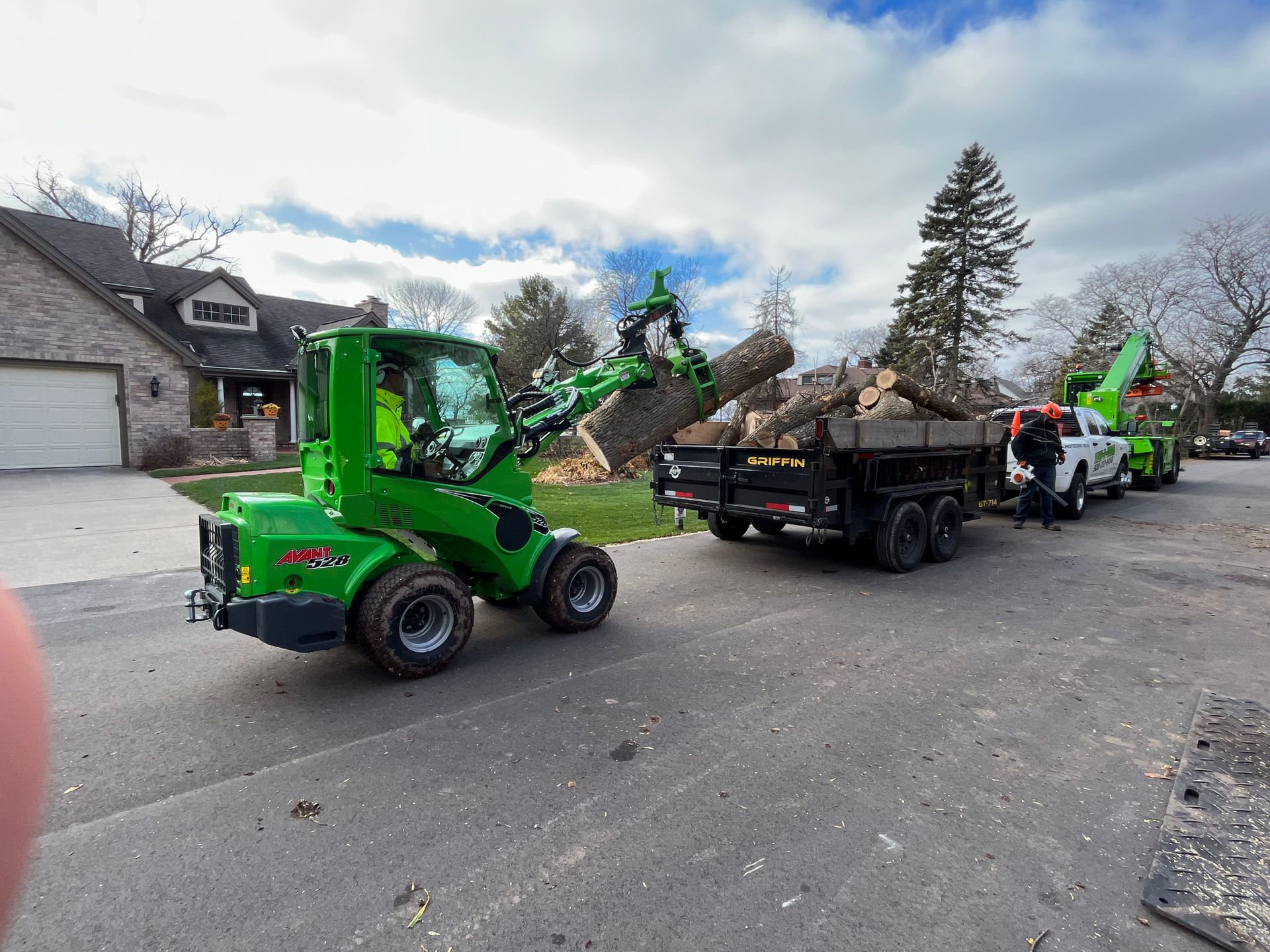 Tree Removal Green Bay, WI | Tree-B-Gone of Green Bay