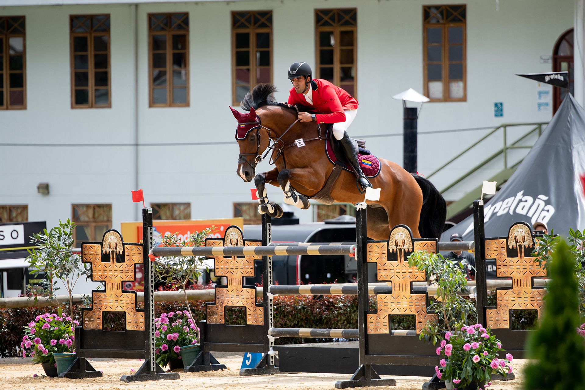 Horse Riding Lessons Wellington, FL | AMG Equestrian LLC